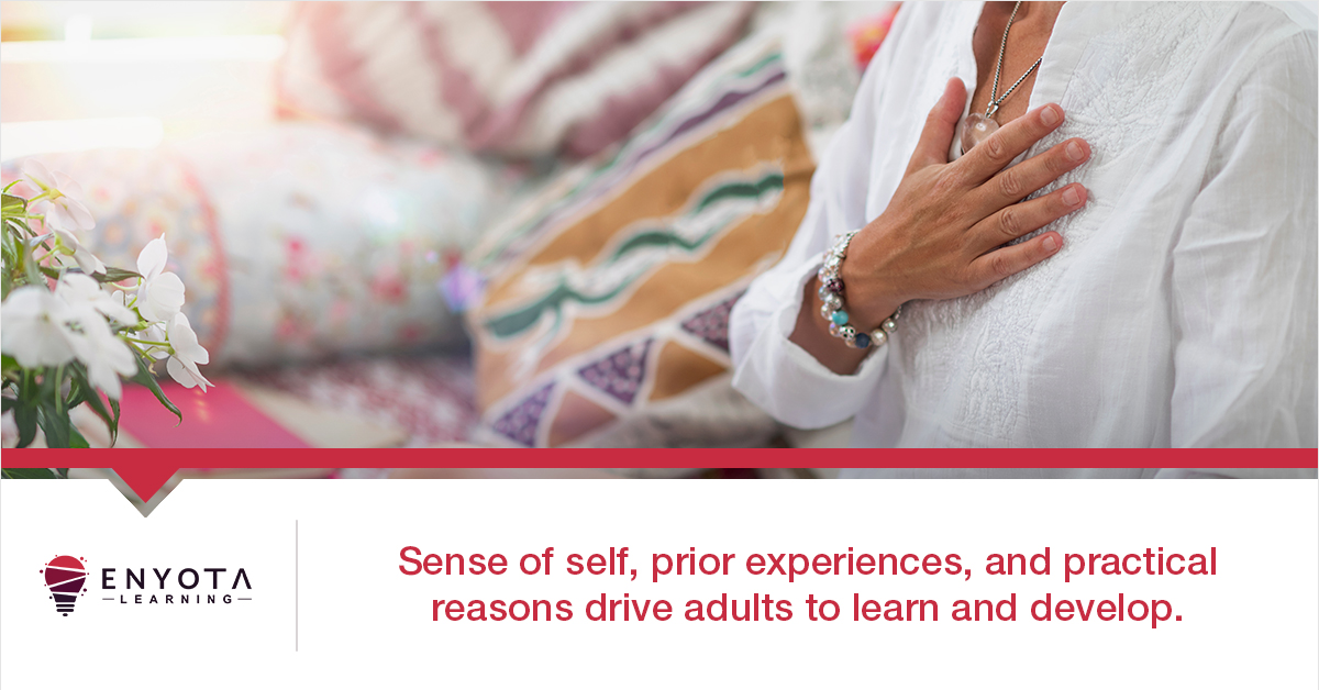 The Adult Learning Theory - How to Train Adults